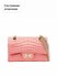 Сумка Chanel Limited Edition 2.55 Medium, розовый