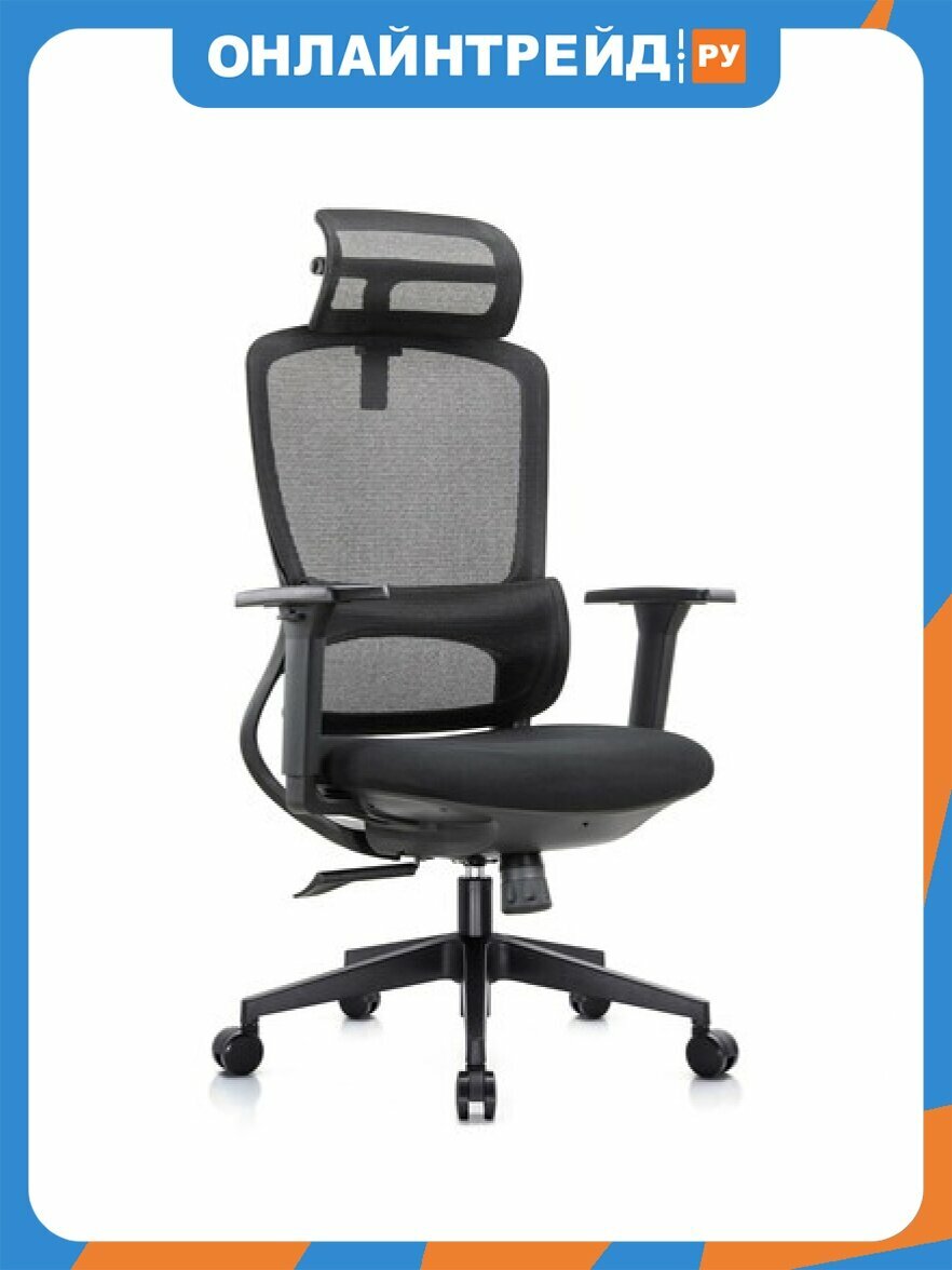 Кресло руководителя Riva Chair Skill RCH 6245A Черный