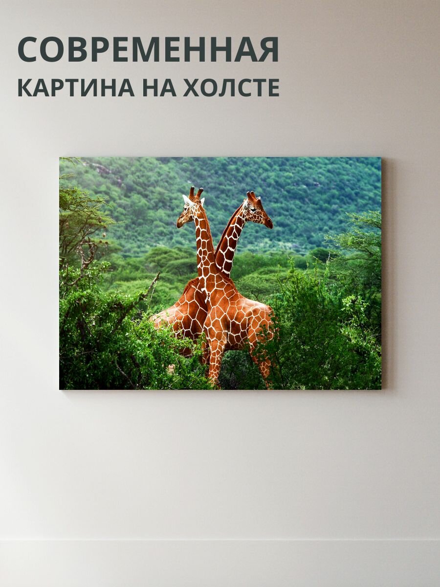 Картина на холсте Две жирафы на фоне зелени 70x50 см