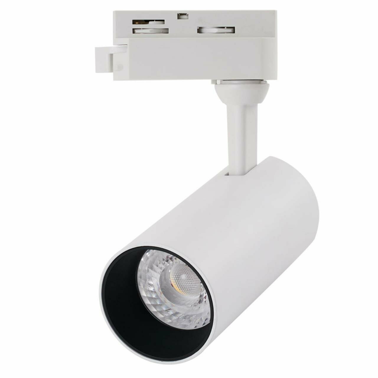 Светильник трековый, спот Arte Lamp REGULUS, A4568PL-1WH, 13W, LED