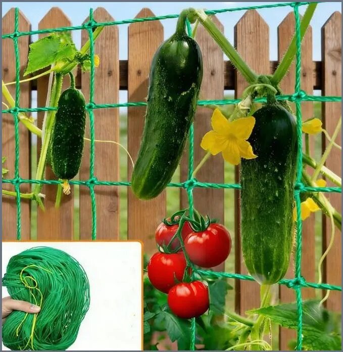 Сетка садовая ограждающая, Пластик,5х2м