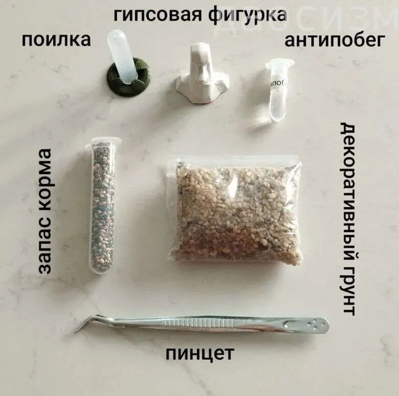 Муравьиная ферма — фото 1