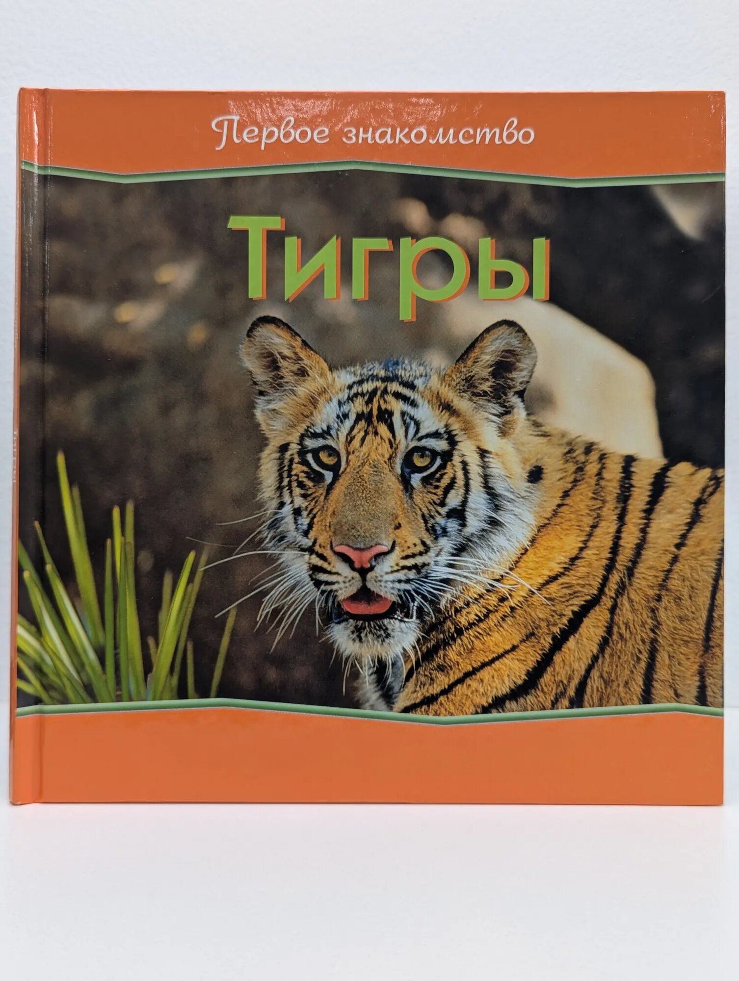 Первое знакомство. Тигры Уилздон Кристина 2008