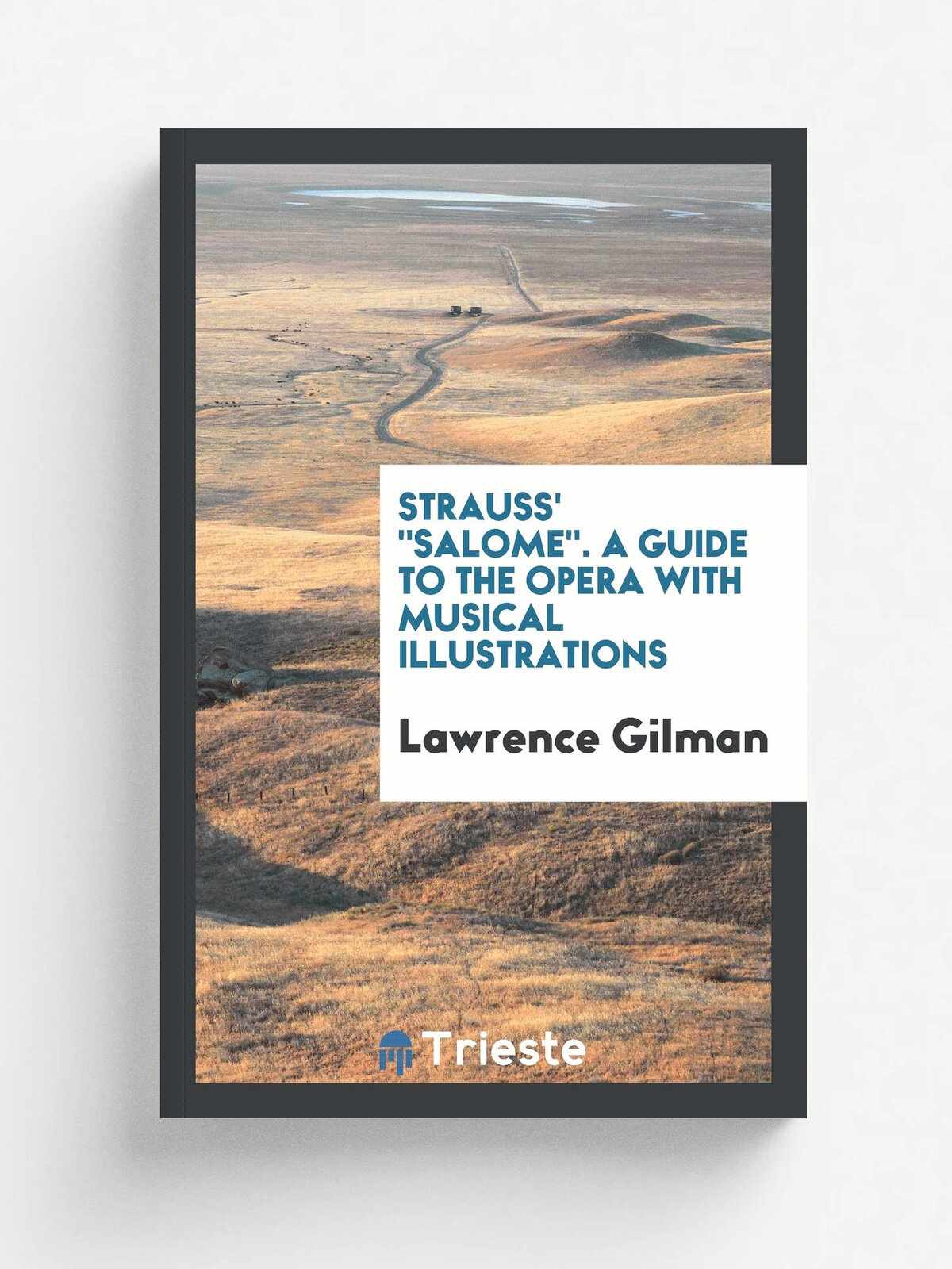 Strauss' "Salome". a guide to the opera, with musical illustrations