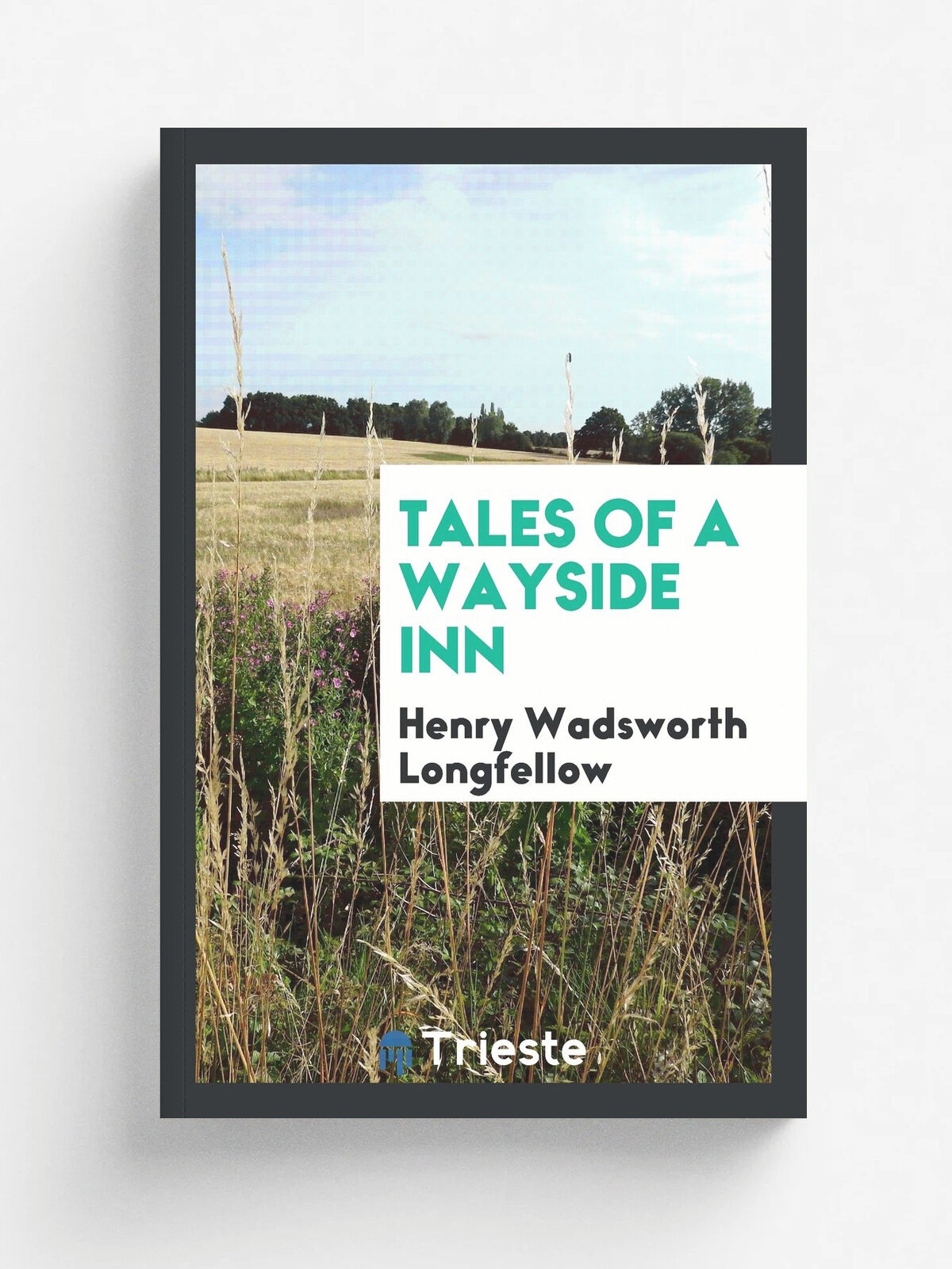 Tales of a Wayside Inn
