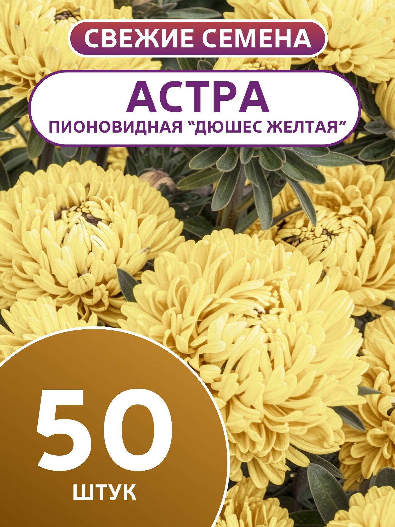 Астра пионовидная семена для выращивания 50 шт