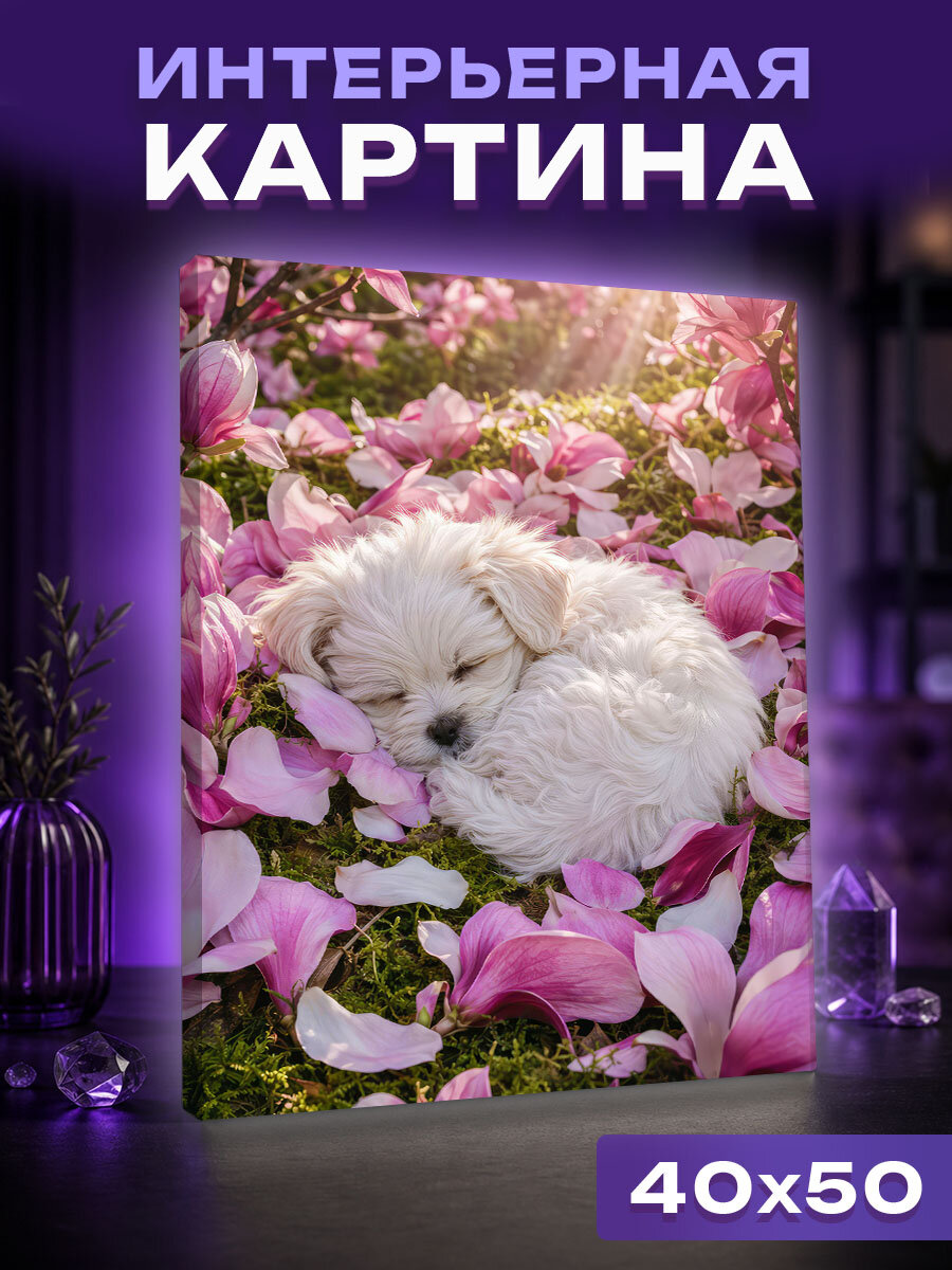 Интерьерная картина щенок болонки в лепестках магнолии