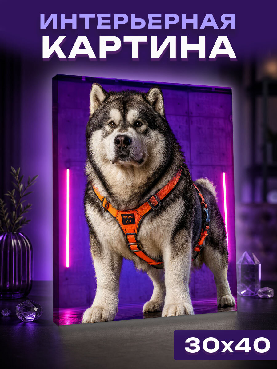 Интерьерная картина Аляскинский маламут на лофт-корте