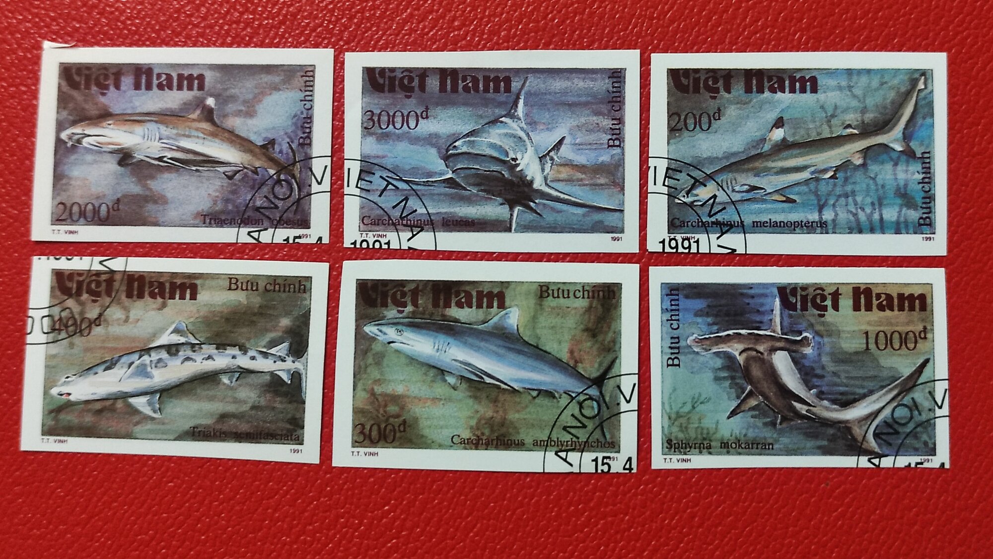 Марки Вьетнам 1991. Рыбы: "Акулы". Гашение. MNH. См фото