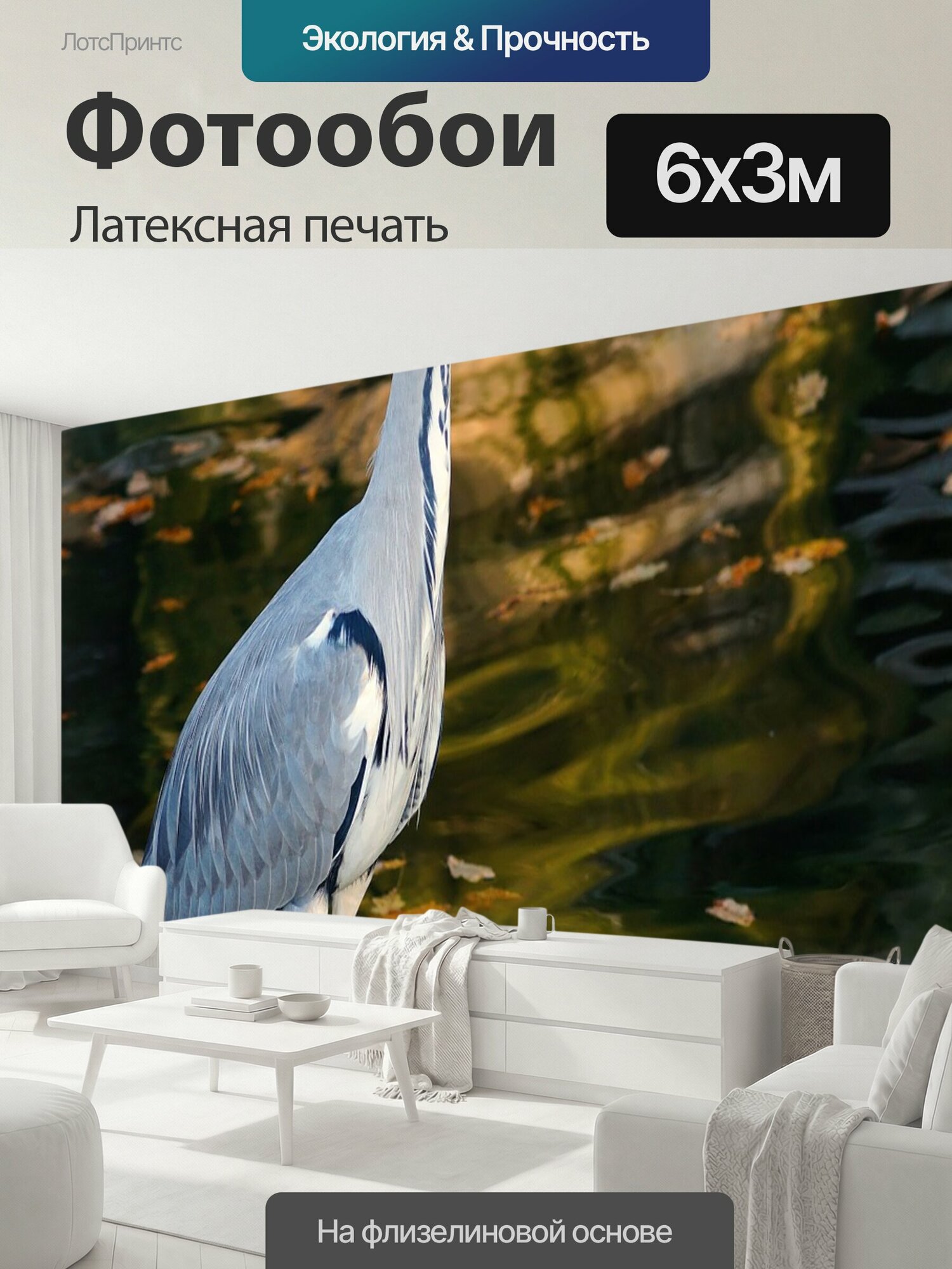 Фотообои моющиеся ударопрочные "Цапля, серая цапля, выстрел в полный рост" 600x300 см. латексная печать