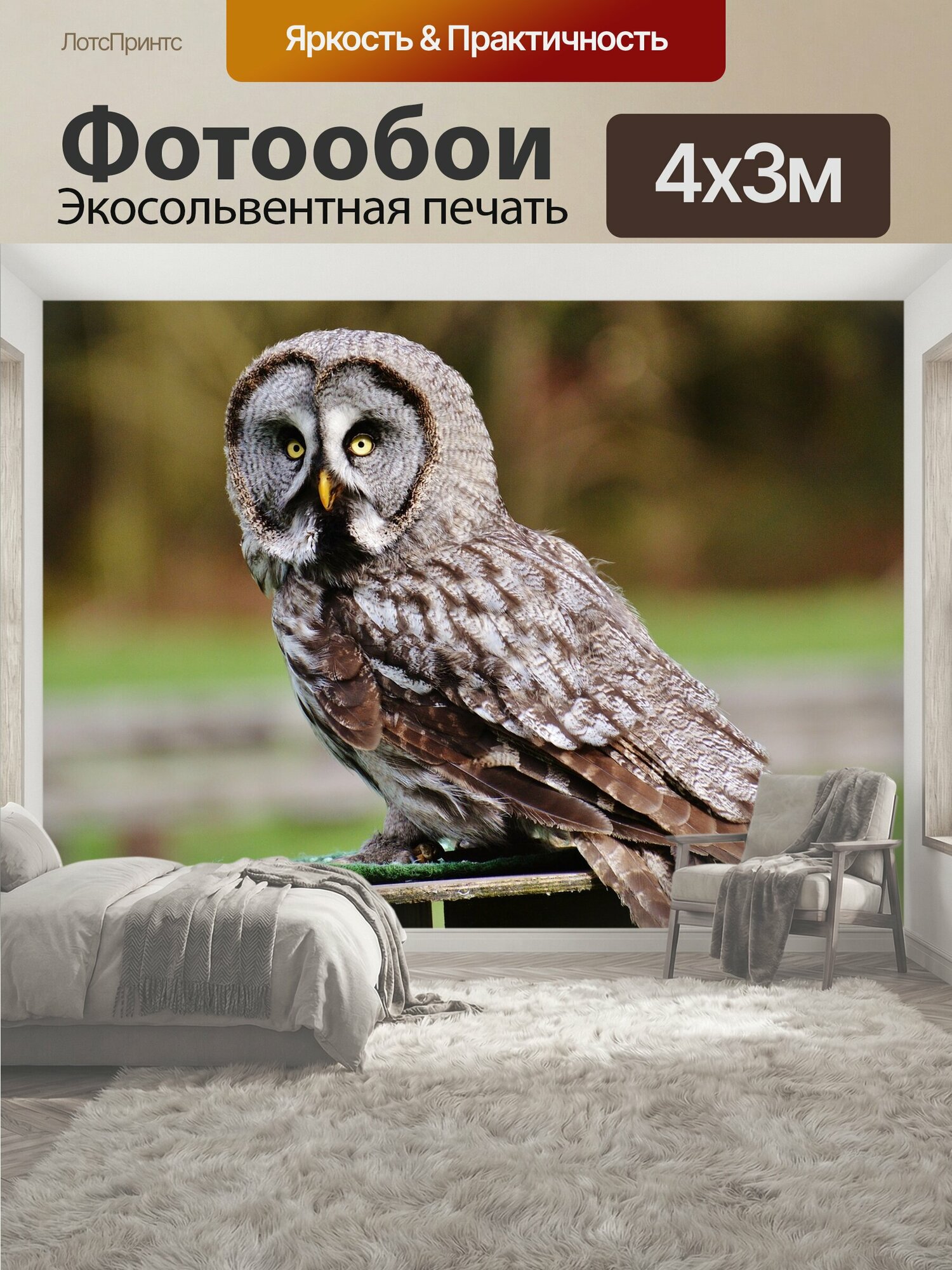 Фотообои "Барт сова, сова, wildpark poing" 400x300 см. экосольвентная печать