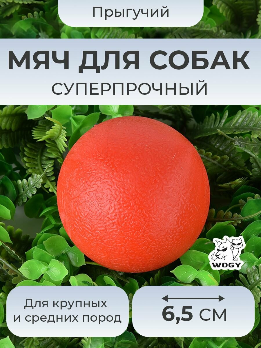 Игрушка для собак WOGY 6.5см, 195гр, прочный мячик для собак крупных и средних пород