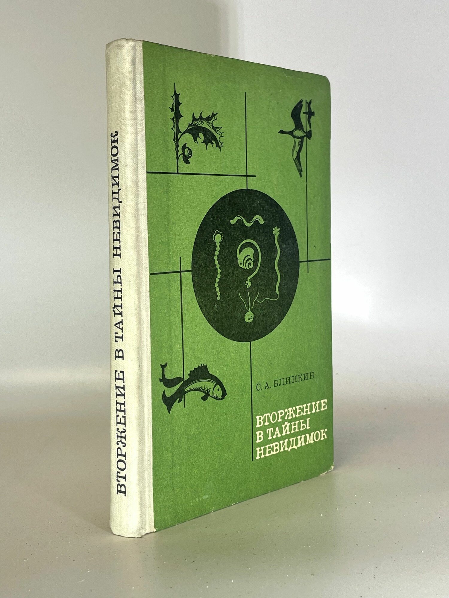Вторжение в тайны невидимок. С. А. Блинкин. Букинистическая книга в отличном состоянии.