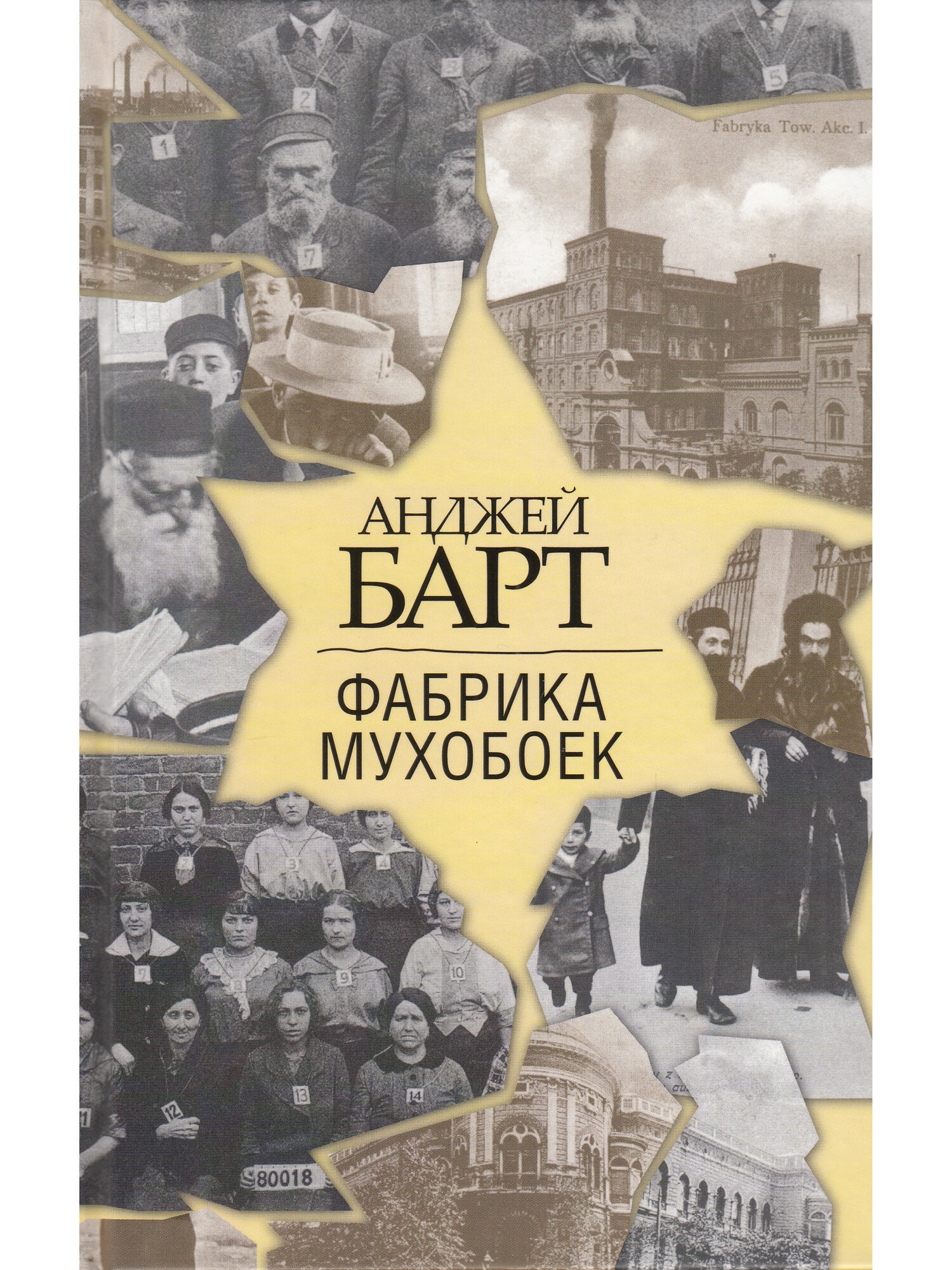 Фабрика мухобоек. Фантасмагорический роман