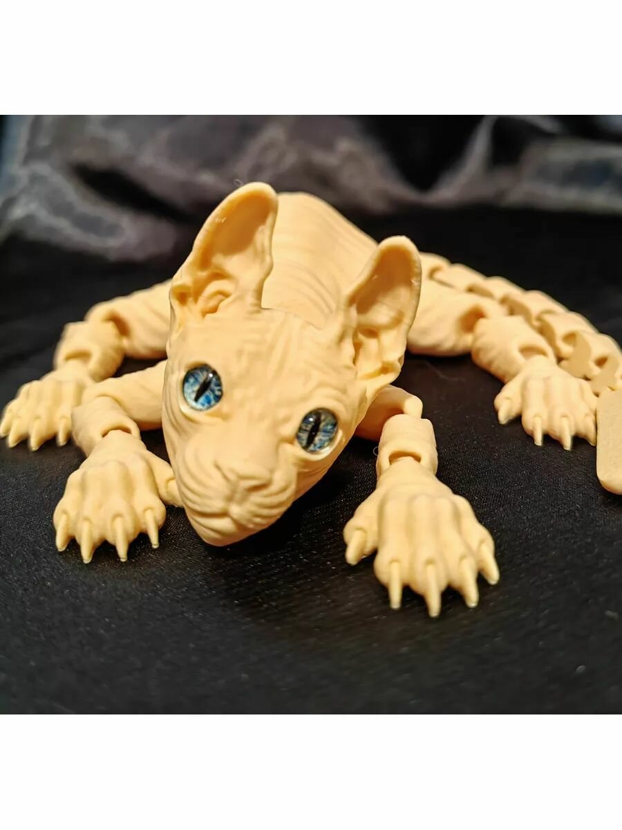 Кот Сфинкс