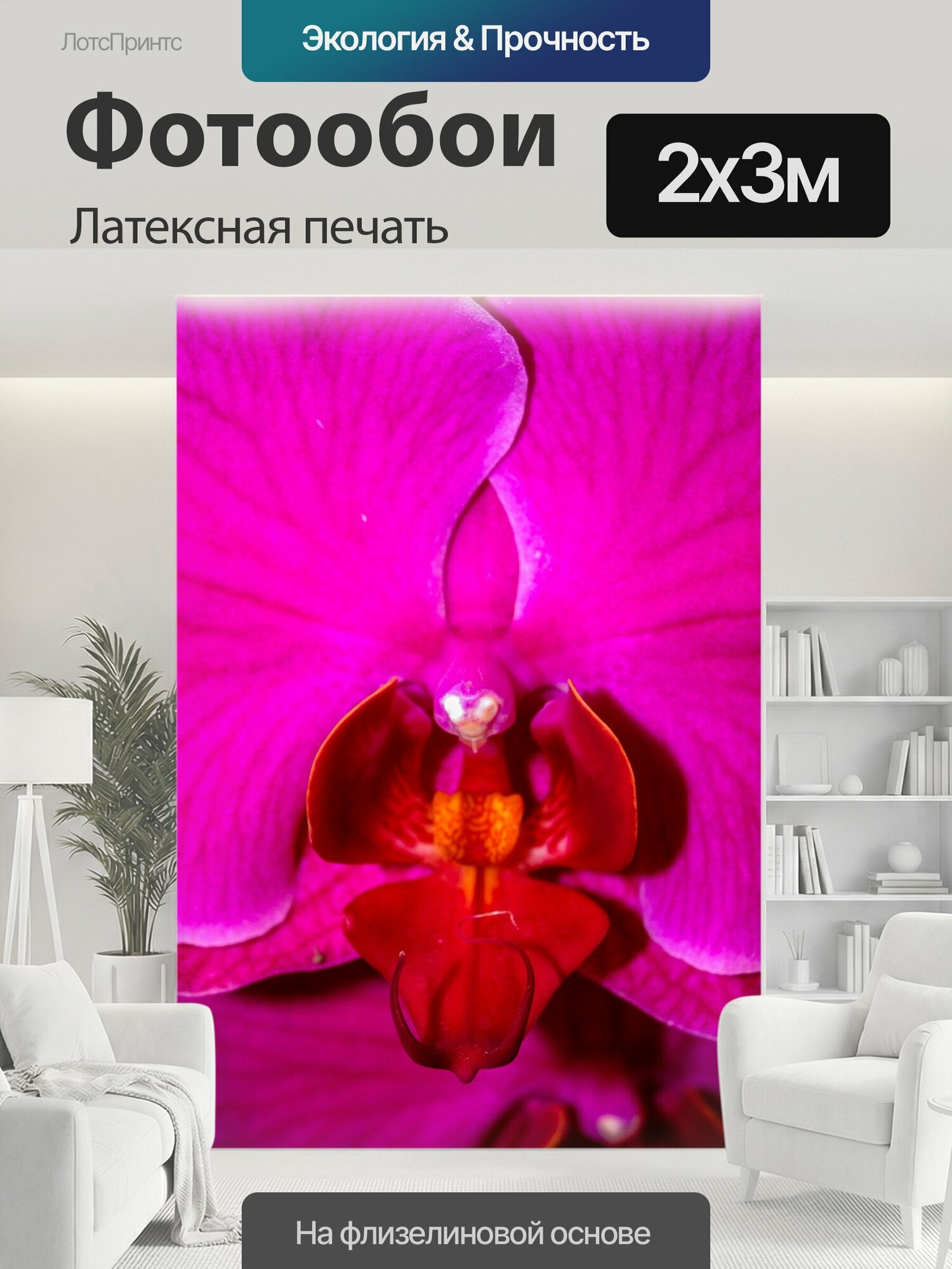 Фотообои моющиеся ударопрочные "Цветок орхидеи Цветок орхидеи орхидея цветочный фиолетовый флора фон цветок розовый красота прекрасный природа." 200x300 см. латексная печать