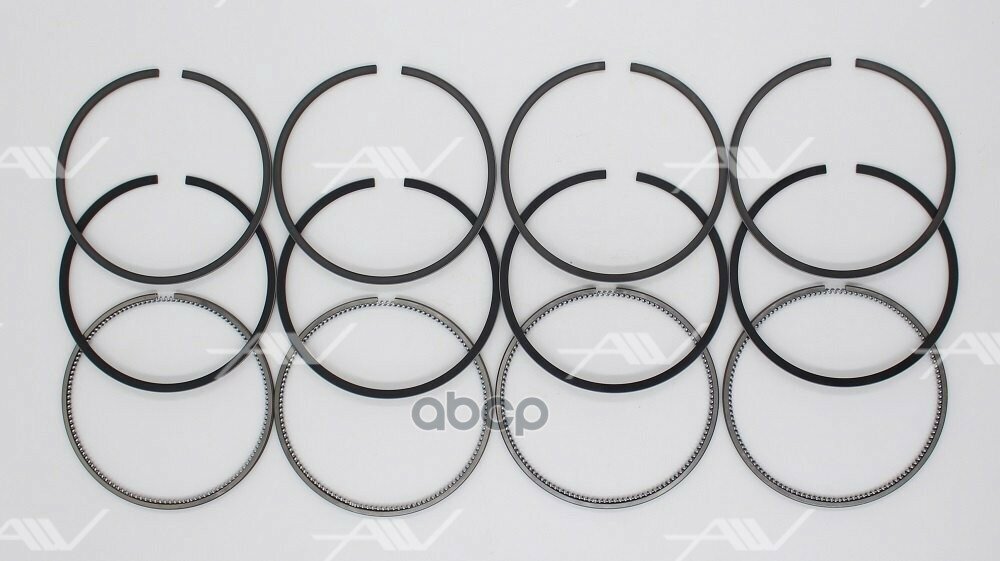 RS-33060 комплект колец STD NISSAN TD27T 96.00MM 2.5(KEY)X2.0X4.0 (10013160/020919/0341937, тайвань Autowelt арт. RS33060