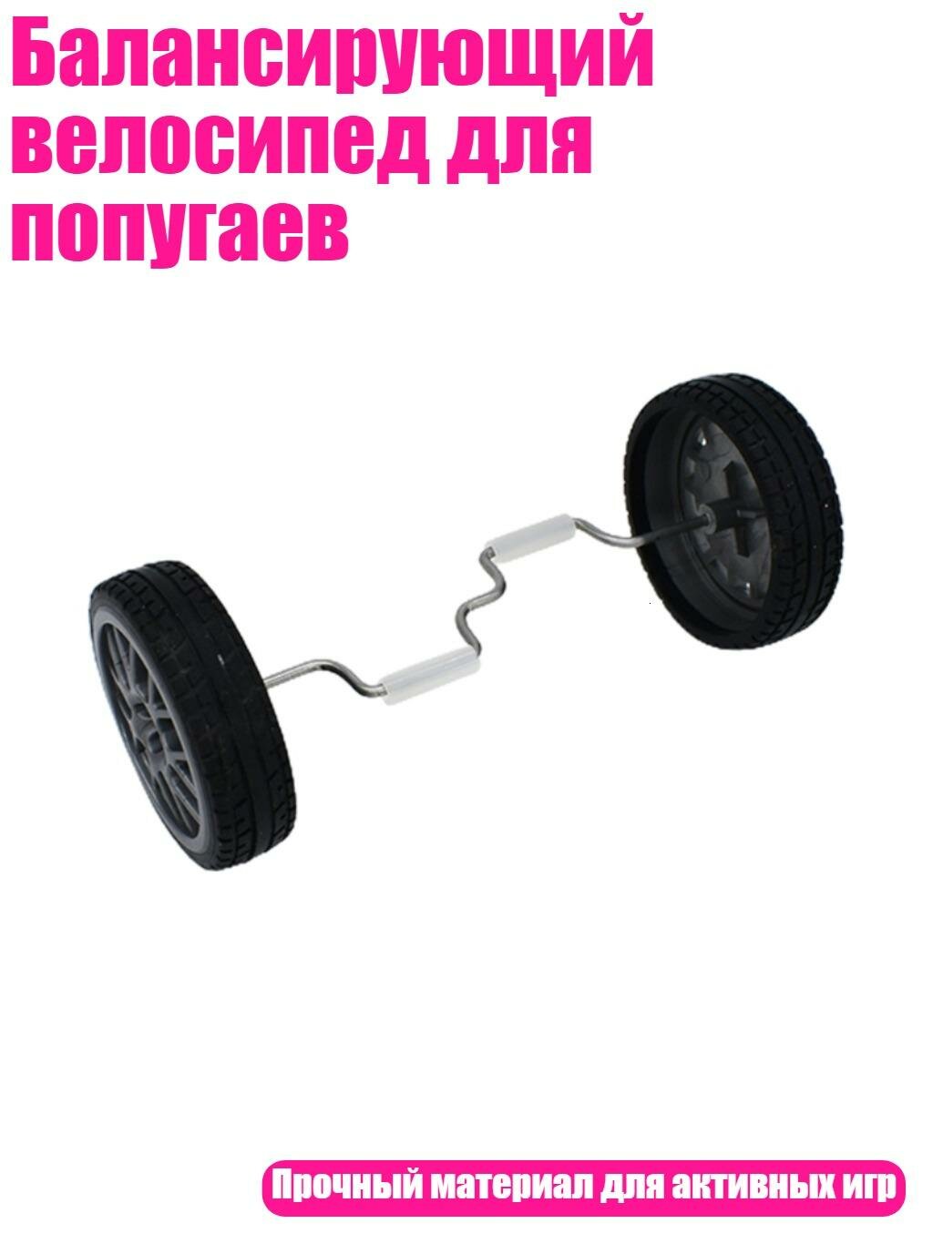 Балансирующий велосипед для попугаев, A