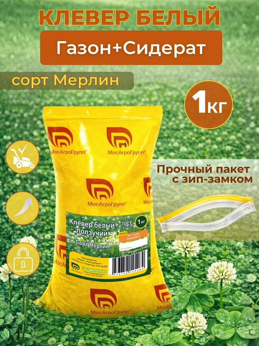 Семена белого клевера 1кг сорт Мерлин Мосагрогрупп для газона