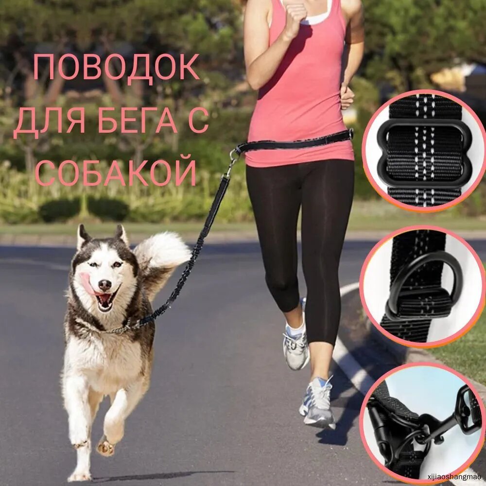 Эластичный поводок для бега с собакой Noral комфорт и безопасность на прогулке
