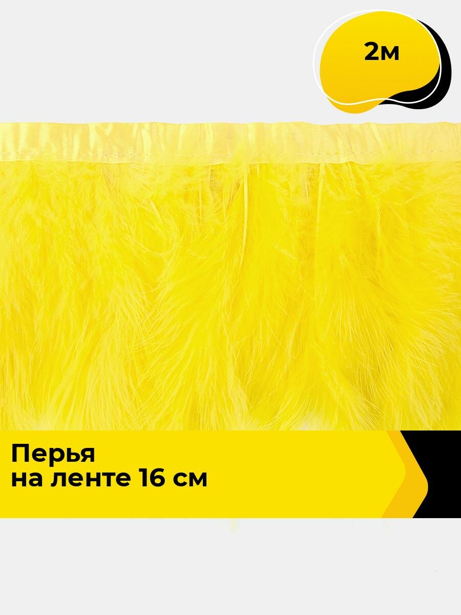 Перья кант перо (перья на ленте) для рукоделия и шитья, 2 м