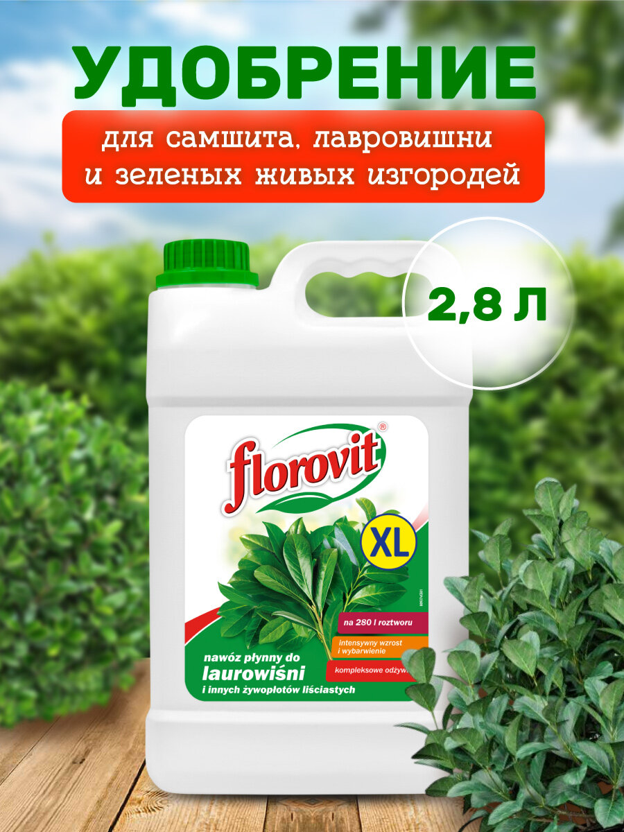 Удобрение Florovit жидкое для для самшита , лавровишни и других зеленых живых изгородей 2.8 литр