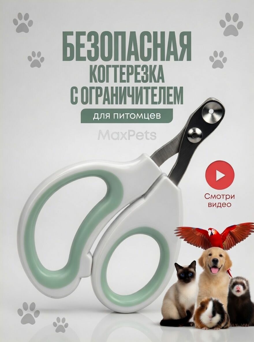Когтерезка для кошек с ограничителем, ножницы для когтей кошек кусачки для когтей стрижка когтей инструмент для собак собак