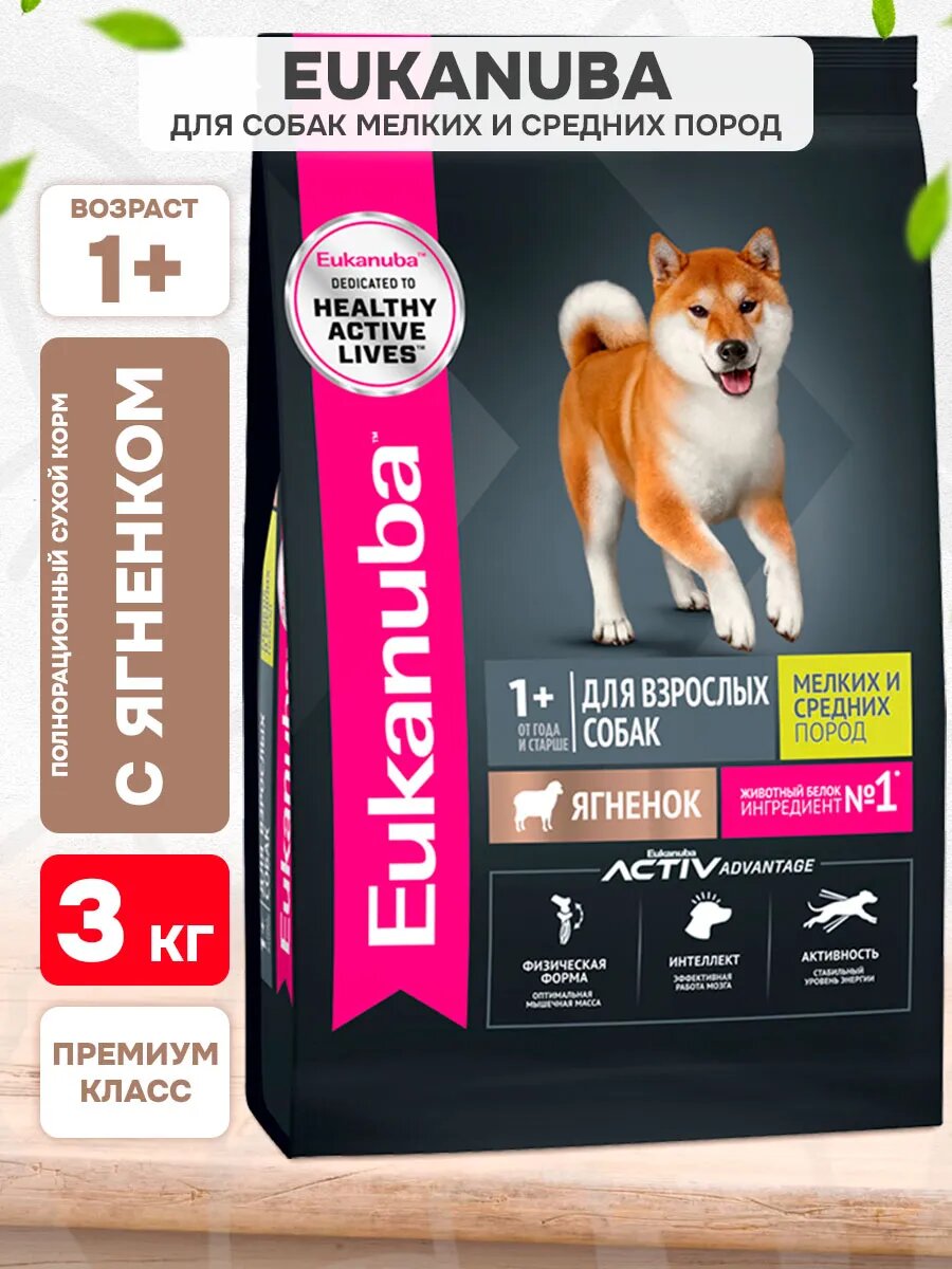 Корм сухой Eukanuba для взрослых собак маленьких и средних пород, ягненок, 3 кг