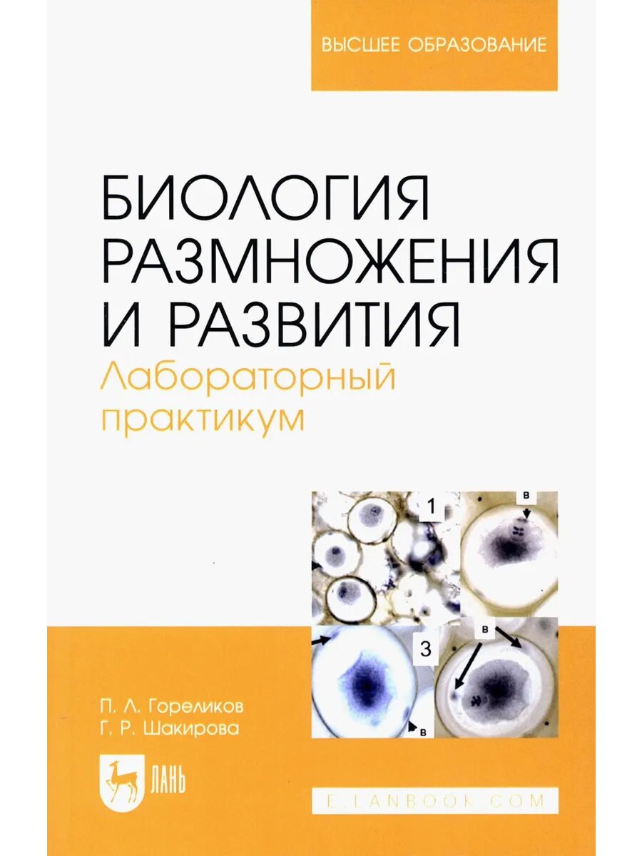 Биология размножения и развития. Лабораторный практикум