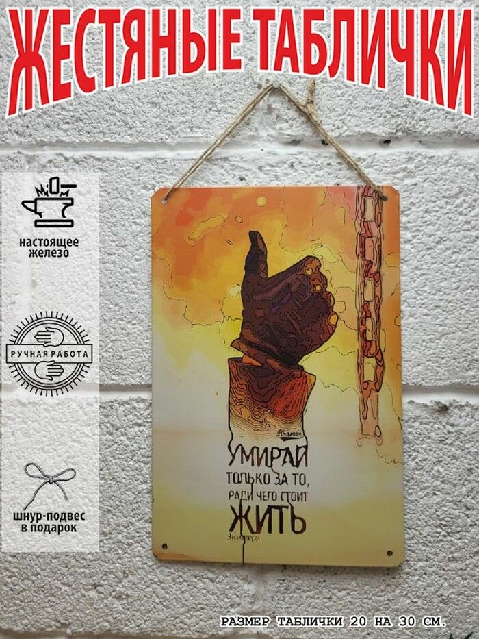 Железная табличка мотиватор, умирай за то, ради чего стоит жить