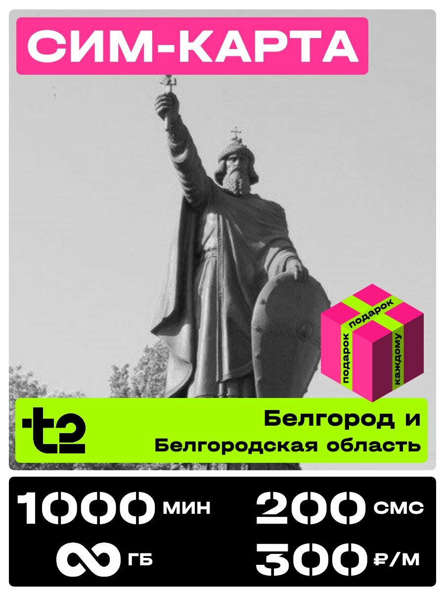 Сим карта теле 2 с безлимитным интернетом. t2 SIM-карта тариф Партнер М Белгородская область. 1000 минут за 300 рублей в месяц.