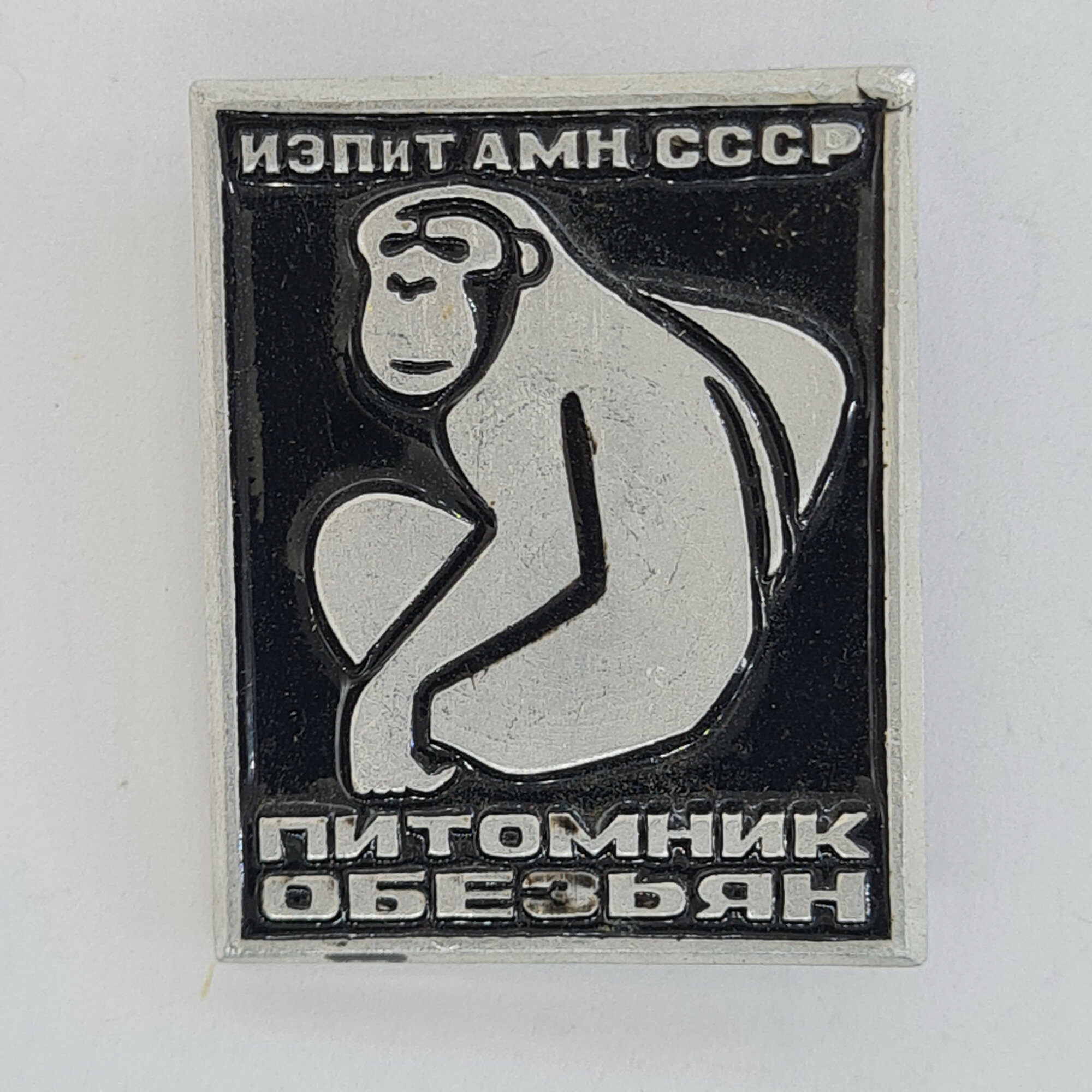Значок СССР. Испытания СССР, питомник обезьян, животные. Винтажный значек.