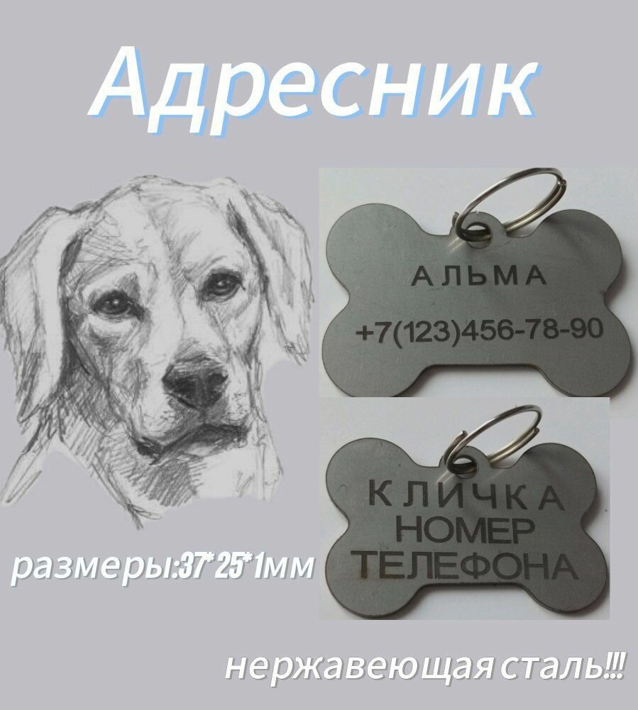 Адресник для собак с гравировкой