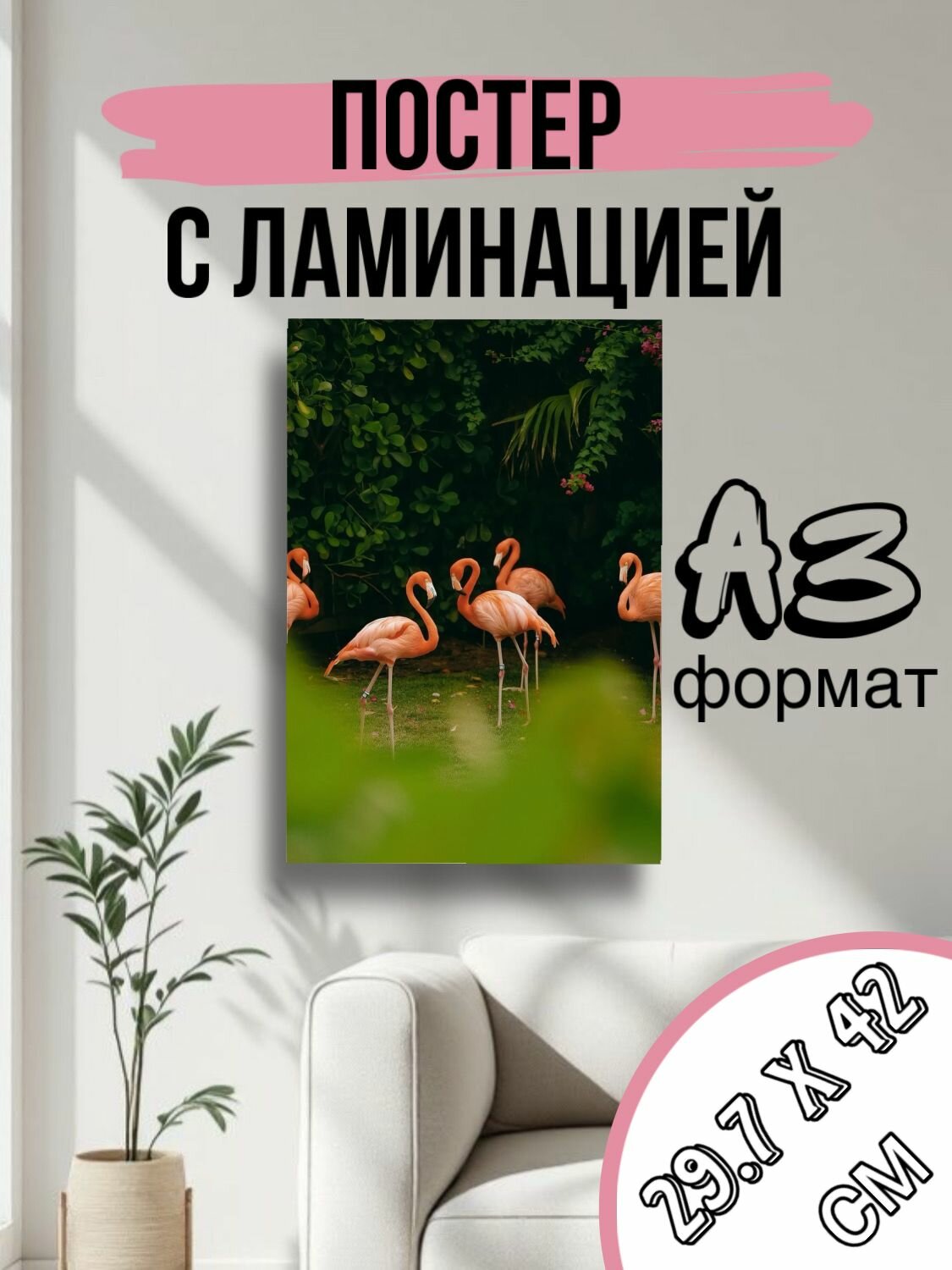 Постер