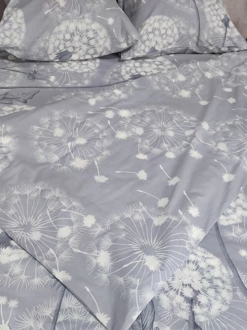 Пододеяльник Ворожея Снов Брэдбери, евромакси, 220x240, хлопок, бязь, белый, серый