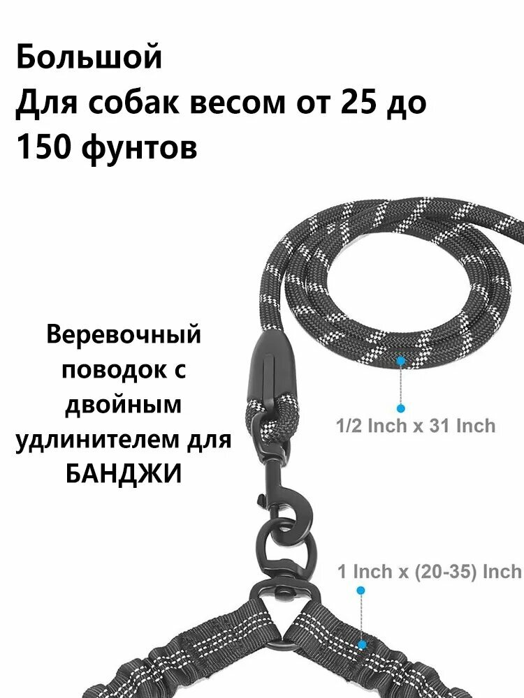 Раздвоенный поводок для двух собак выдвижной