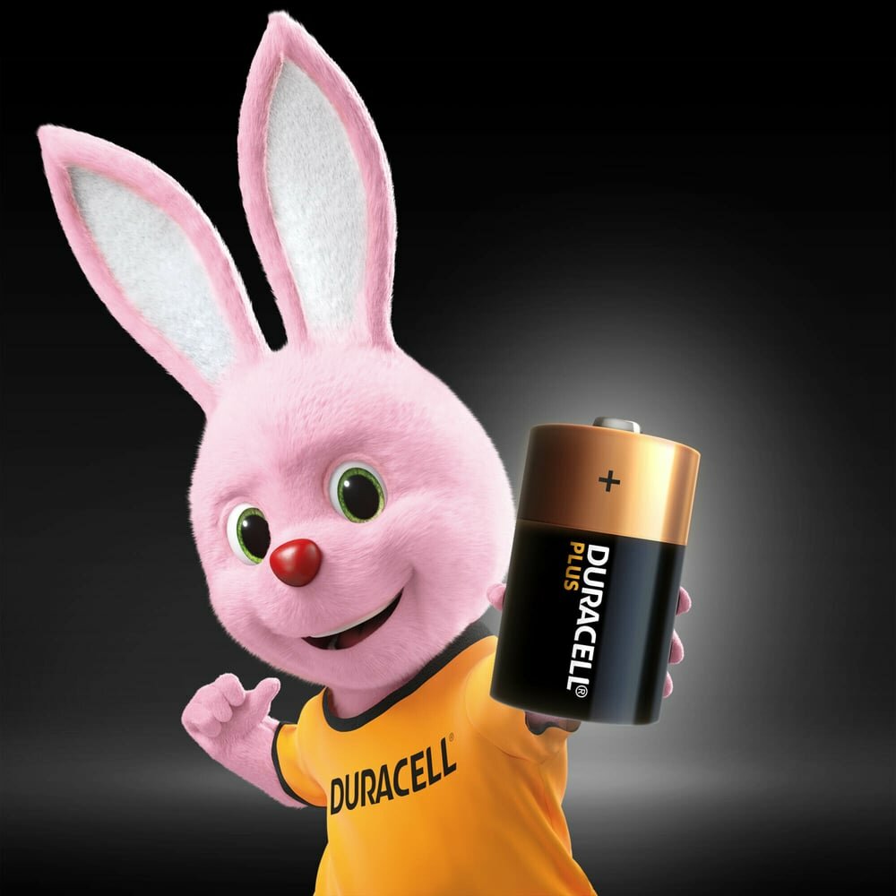 Щелочные батарейки Duracell Plus D 1,5v 2 LR20 MN1300, Б0056039 — фото 1
