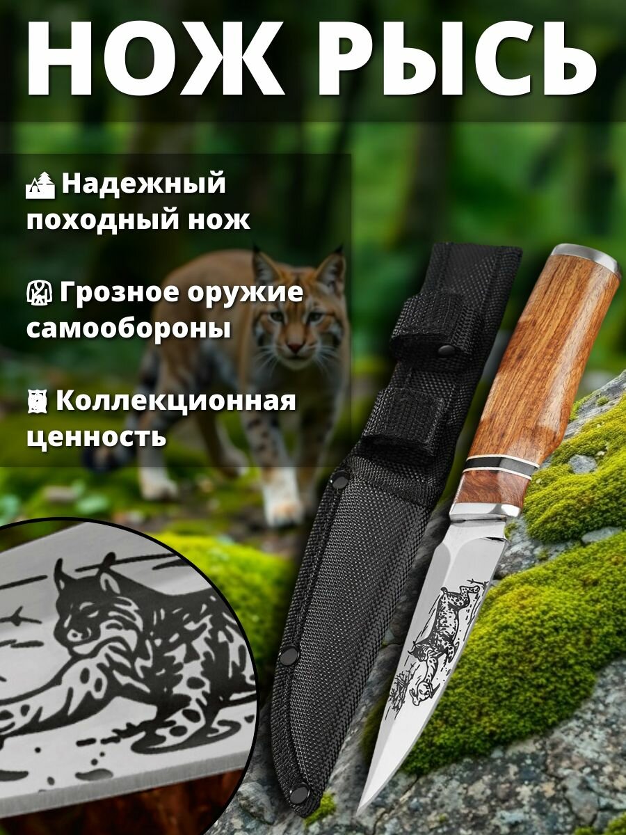 Нож рысь