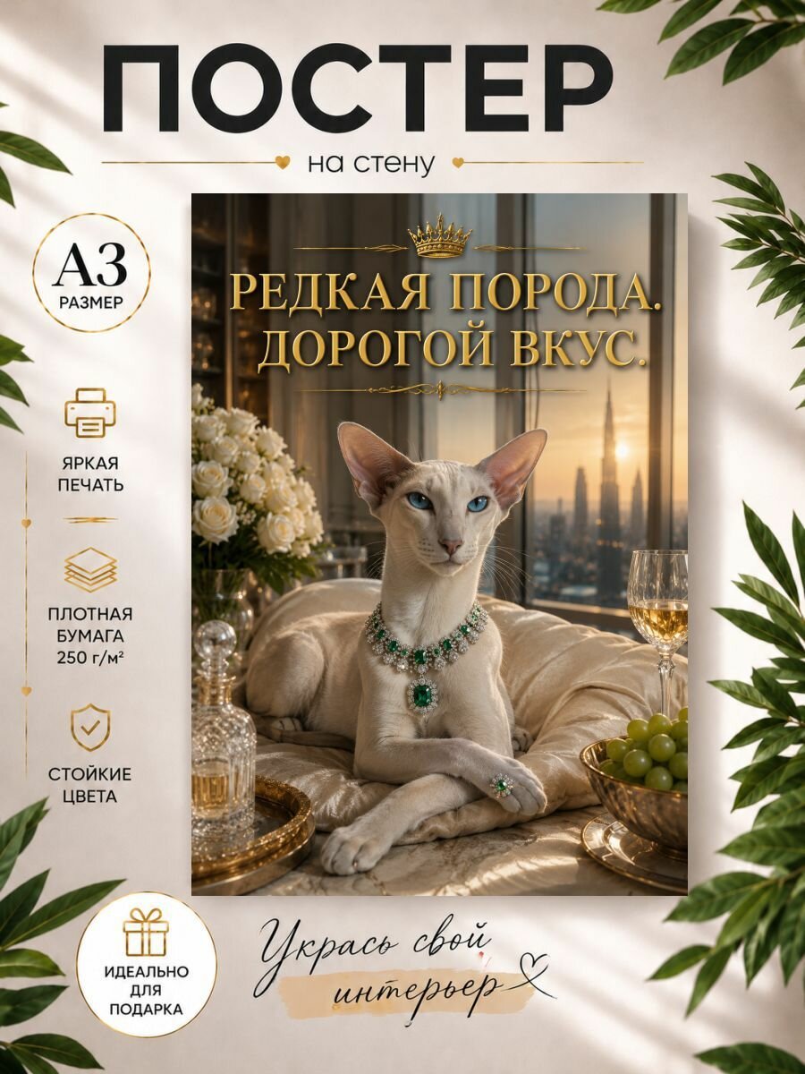 Смешной постер с кошкой прикольный подарок кошатнице
