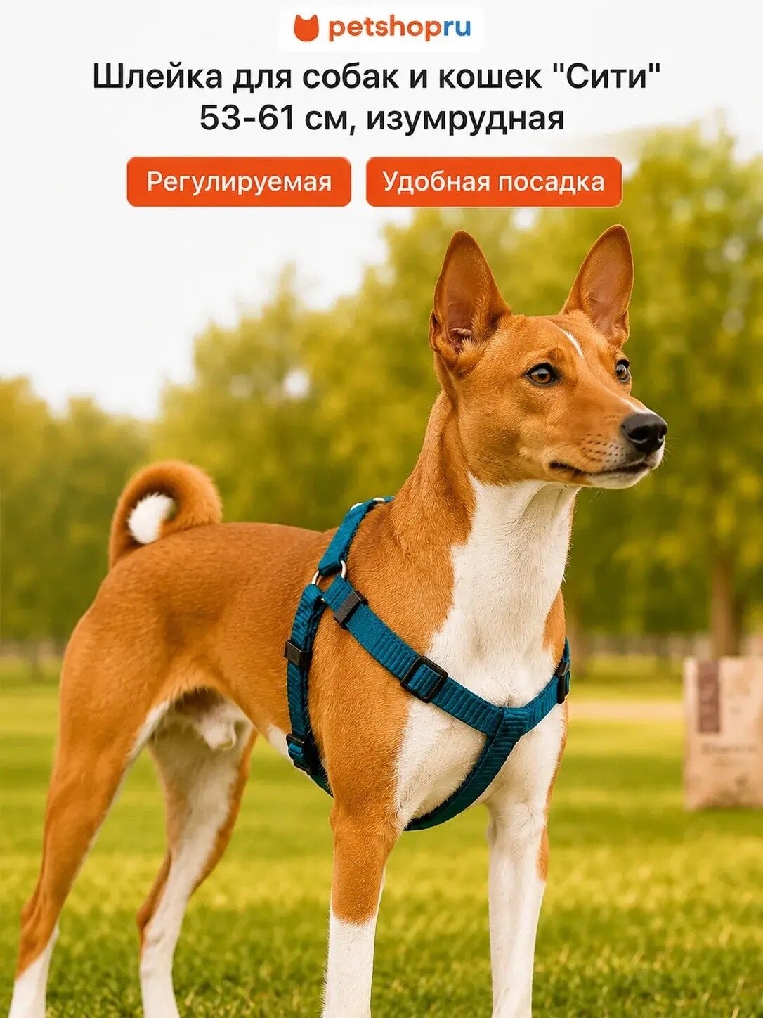 Yami Yami амуниция Шлейка "Сити" для собак, изумрудная, S
