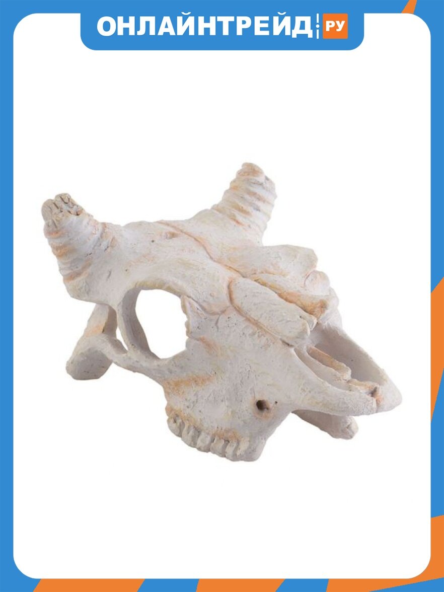 Убежище-декор Exo Terra(hagen) EXO TERRA Череп буйвола 12х8х5.5 см. PT2925 (H229258)