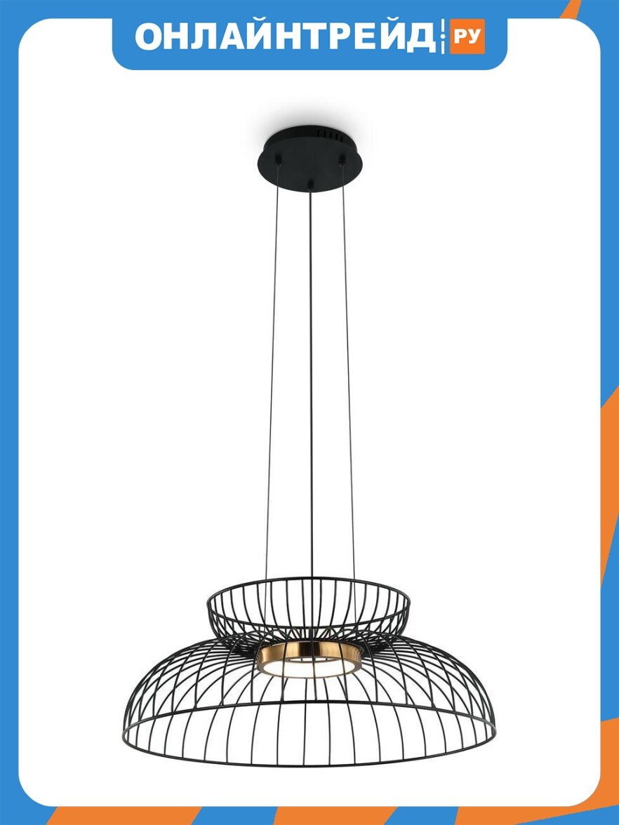 Подвесной светодиодный светильник Freya Citrus FR5398PL-L6B