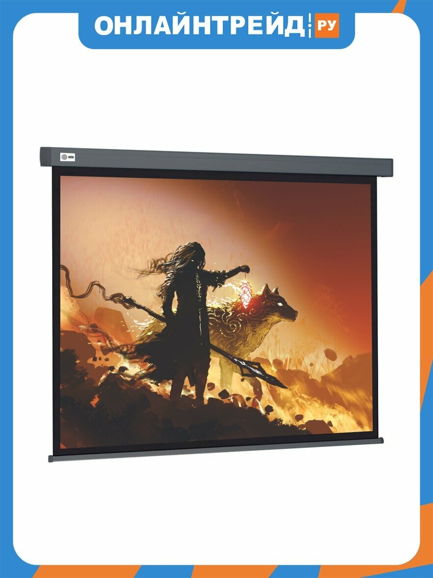 Экран Cactus 213x213см Wallscreen CS-PSW-213X213-SG 1:1 настенно-потолочный рулонный серый