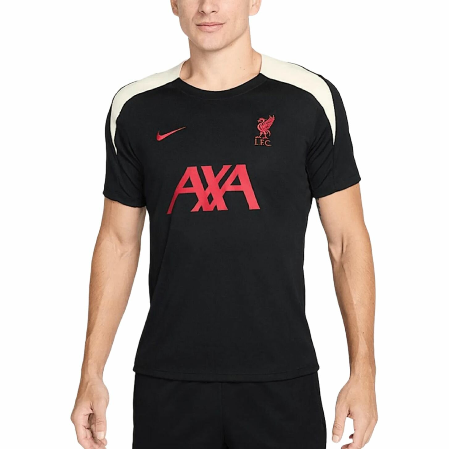 Футболка спортивная Liverpool F.C. Strike Special Edition Dri-FIT