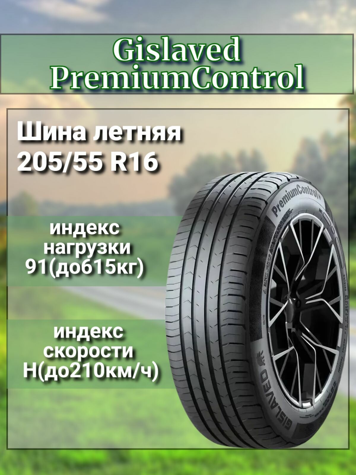 Шина легковая летняя Gislaved PremiumControl 205/55 R16 91 H