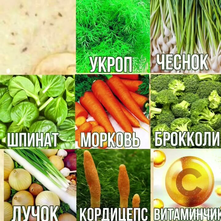 Суп-крем грибной "Provence" — фото 1