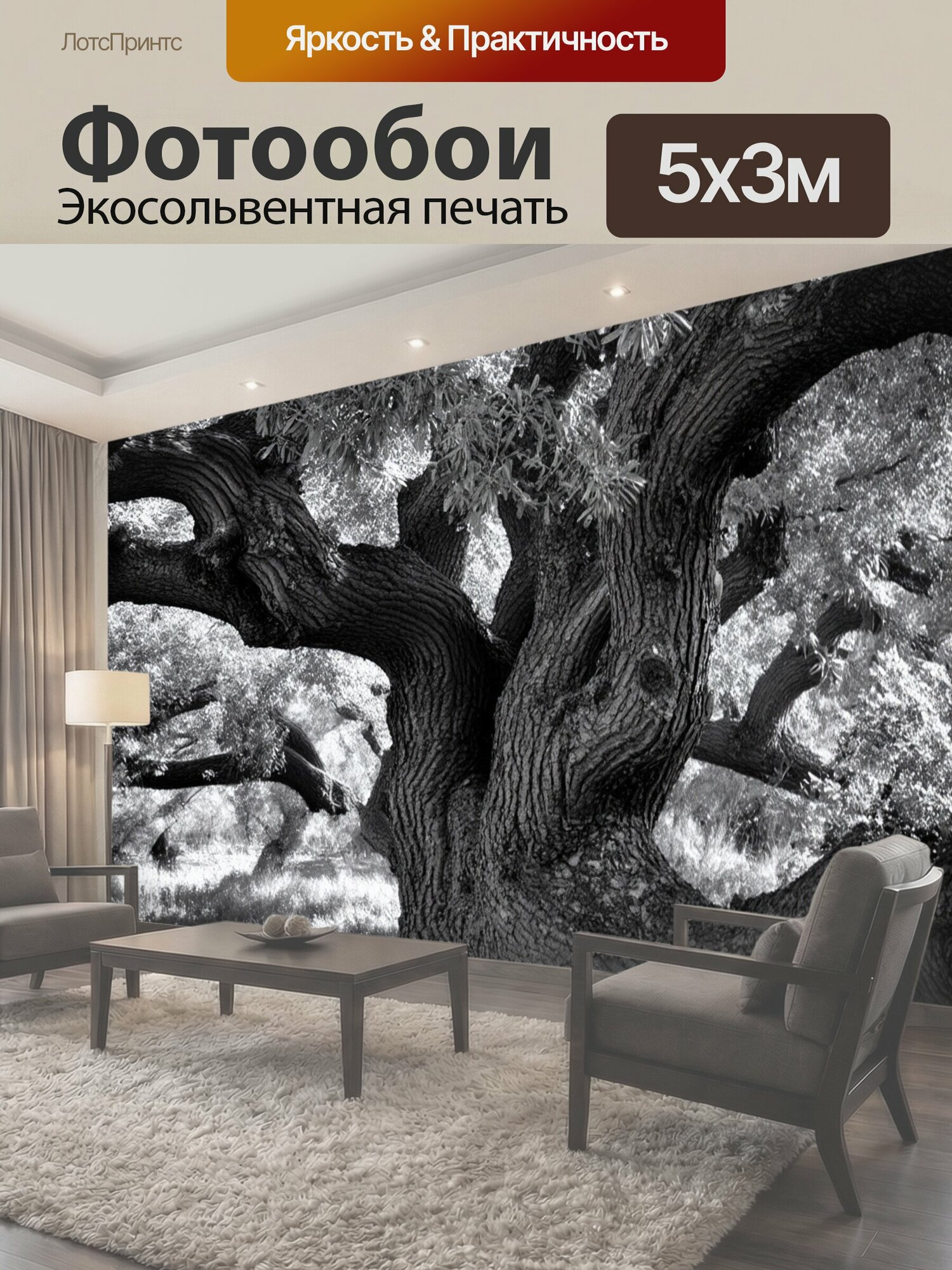 Фотообои "Прованс: старинные оливковые деревья с изогнутыми стволами, спрятанные среди зелени. стиль: фотография в черно-белом с глубокими." 500x300 см. экосольвентная печать
