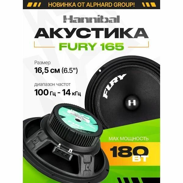 Автомобильные колонки DEAF BONCE Fury 165