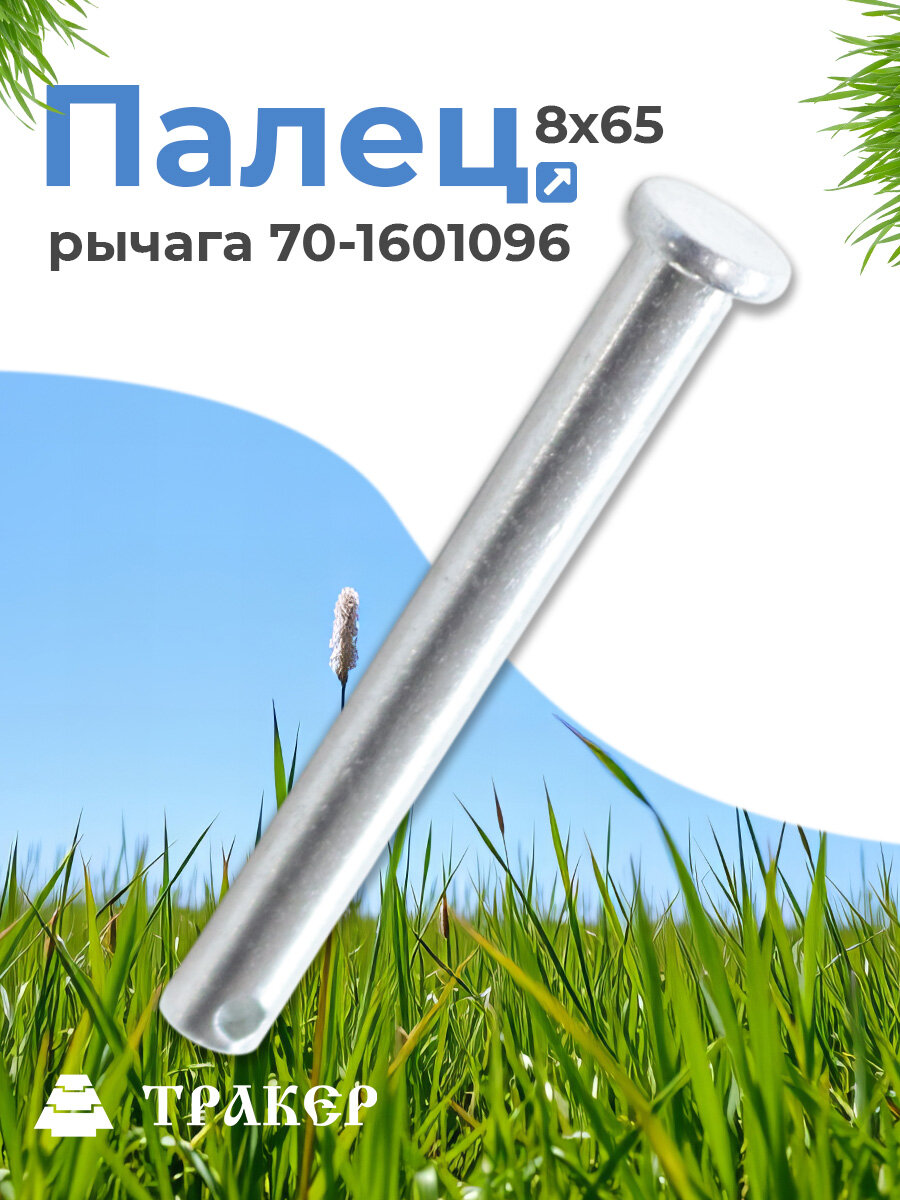Палец отжимного рычага 8х65 70-1601096 трактора МТЗ-80
