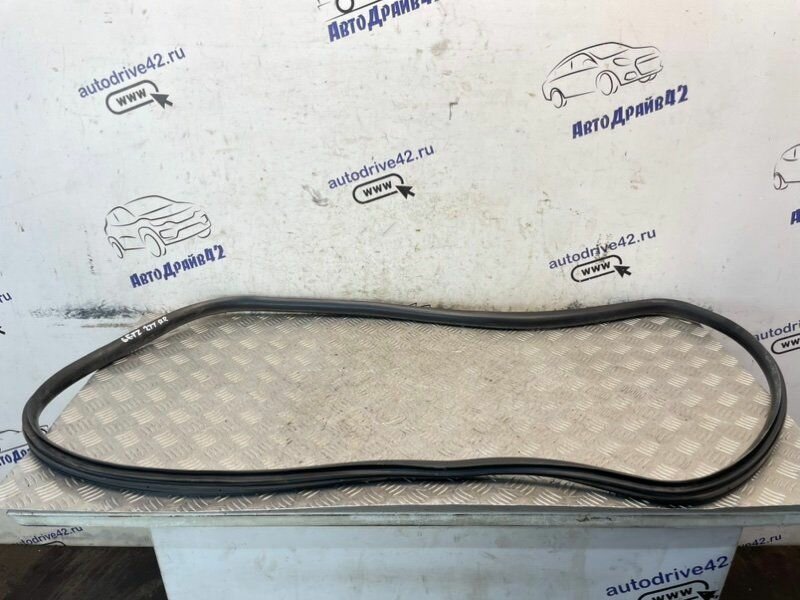 Уплотнитель проема двери Hyundai Getz 2006 831201C000 TB G4EE, задний правый (с пробегом)